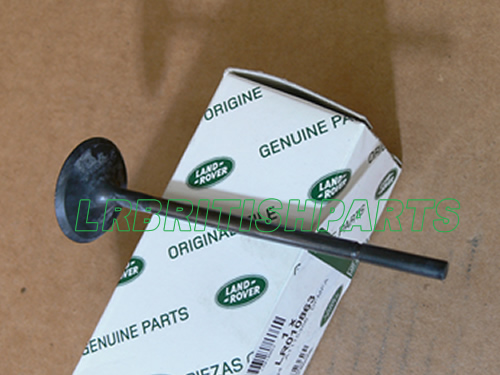 GENUINE LAND ROVER INLET VALVE RANGE R SPORT 10-13 OEM NEW SET 8 OEM ...