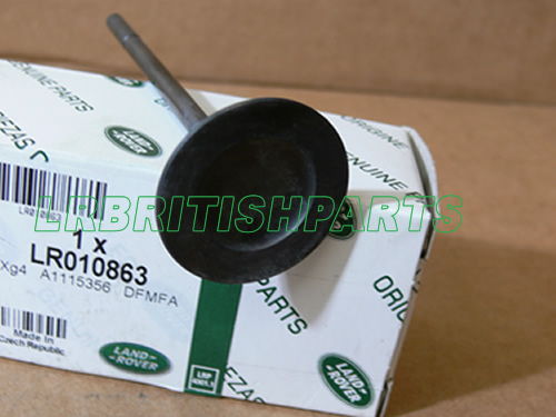 GENUINE LAND ROVER INLET VALVE RANGE R SPORT 10-13 OEM NEW SET 8 OEM ...