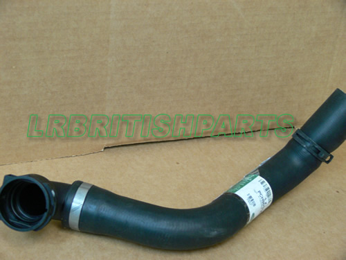 GENUINE LAND ROVER ENGINE TO RADIATOR LOWER HOSE RANGE ROVER 06-09 4.2 ...